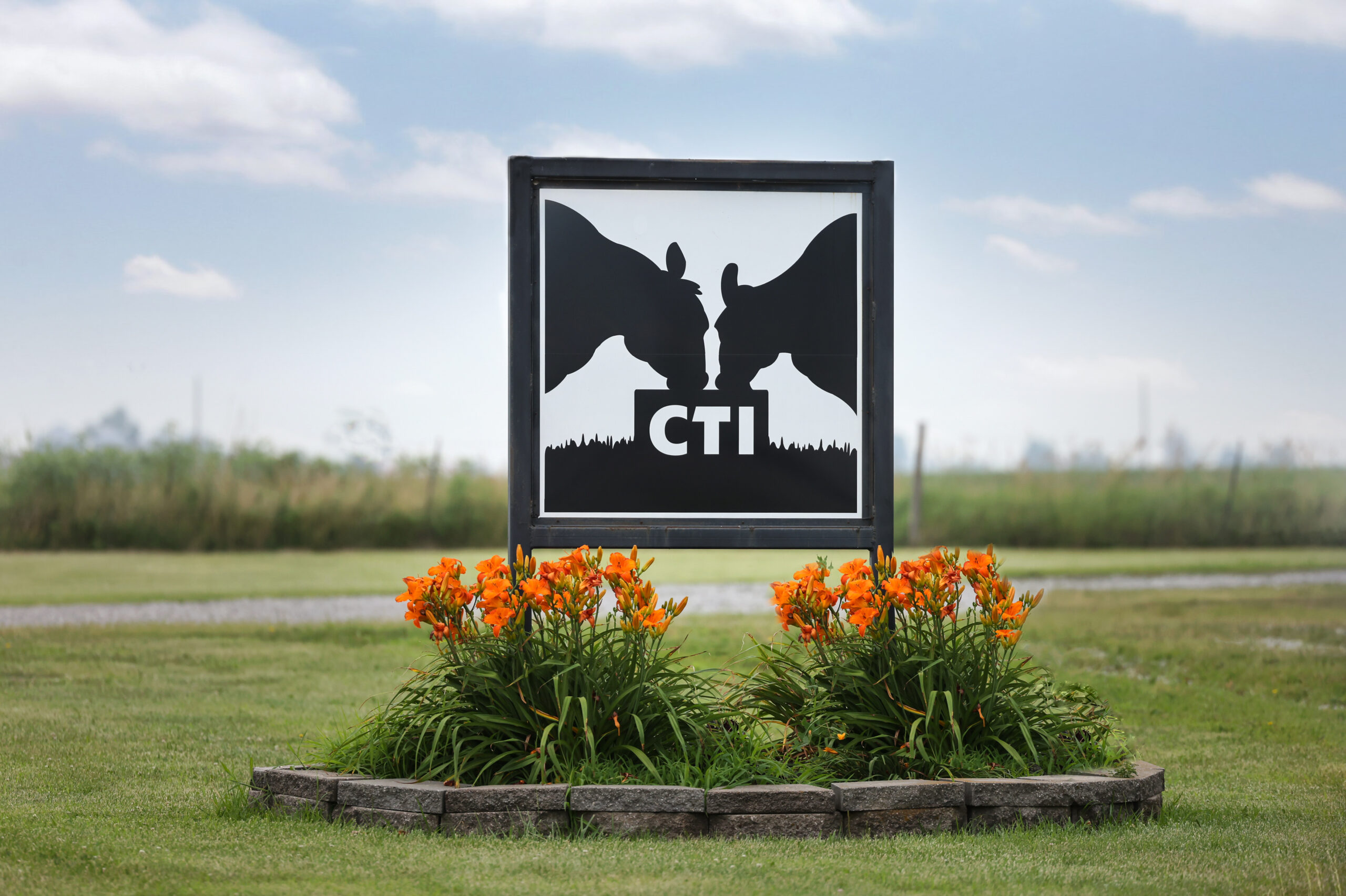 Our Story - CTI Marketing, Inc.